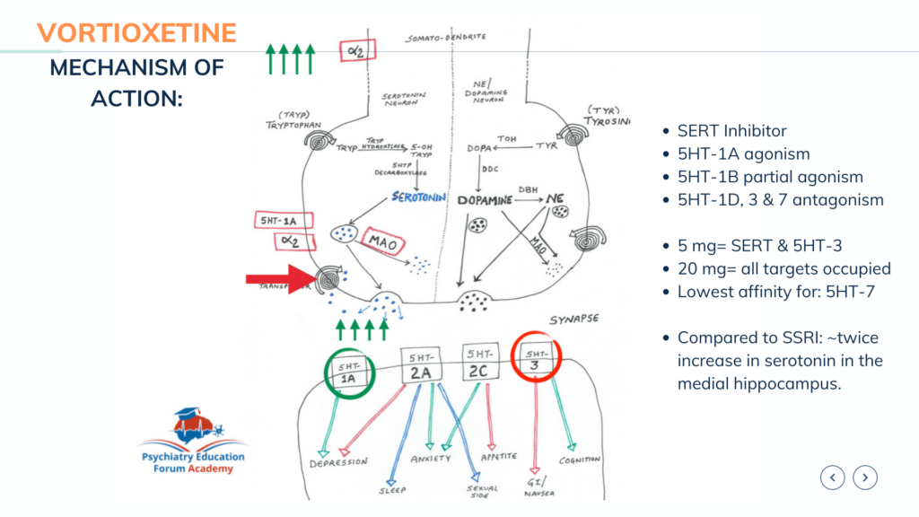 Comparing Serotonin Modulators: Vortioxetine vs Vilazodone – Psychiatry ...