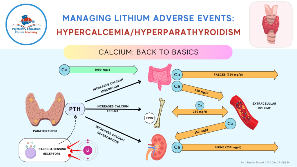 Lithium Induced Hypercalcemia: Key Steps for Diagnosis, Monitoring, and ...